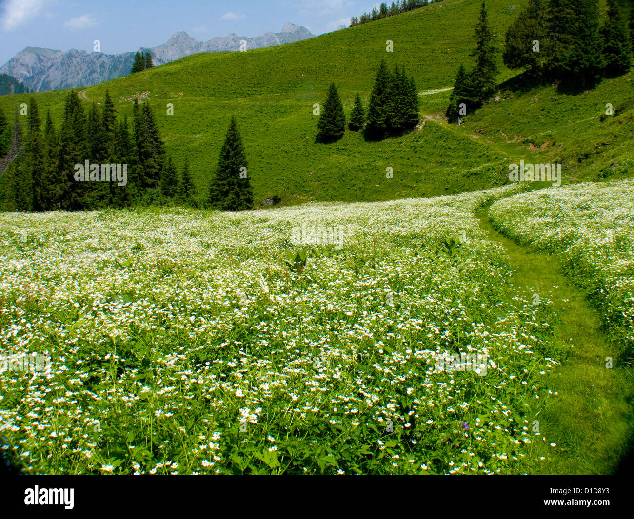 Col Des Mosses High Resolution Stock Photography and Images - Alamy