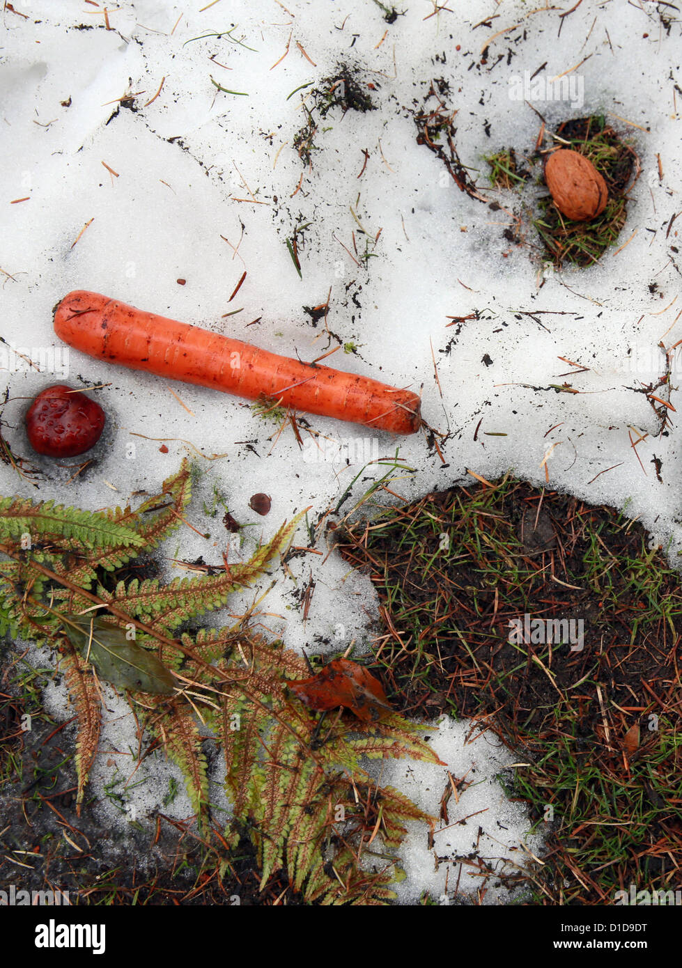 Mild temperatures made a snow flush out of a former snowman in Wentorf ...