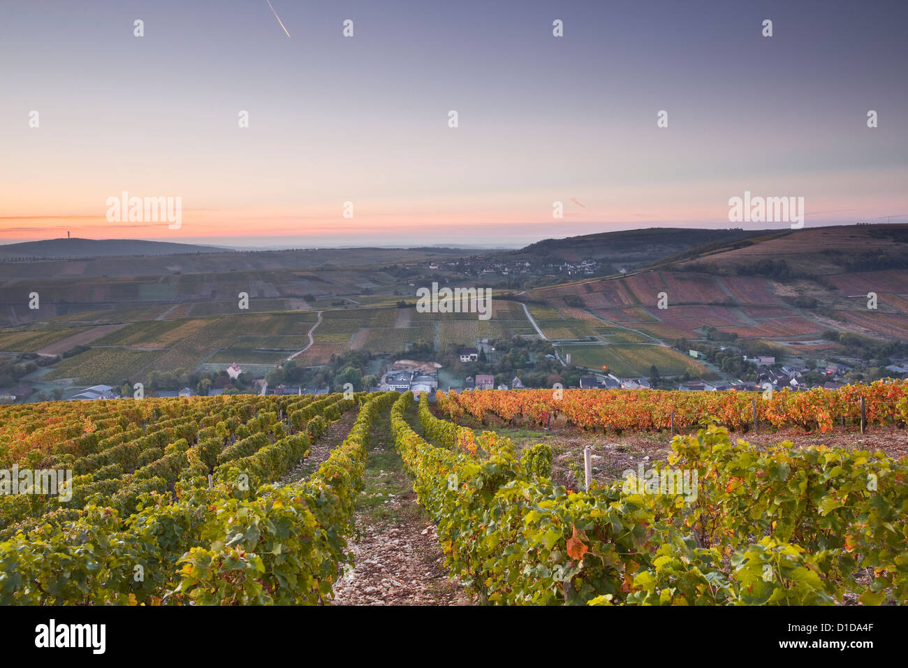 The vineyards of Sancerre in the Loire Valley of France Stock Photo - Alamy