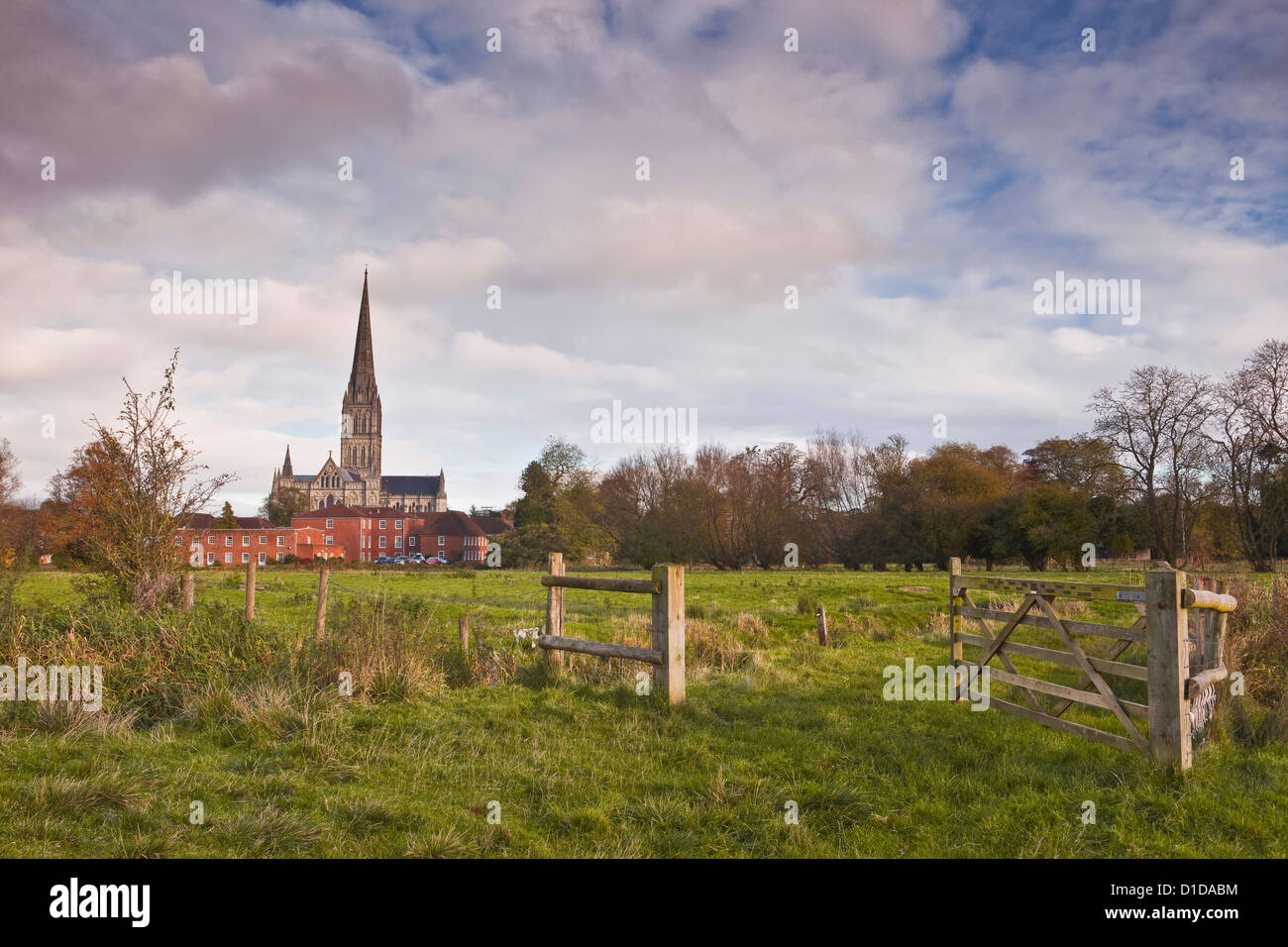 Salisbury cathedral and the west harnham water meadows in Wiltshire ...