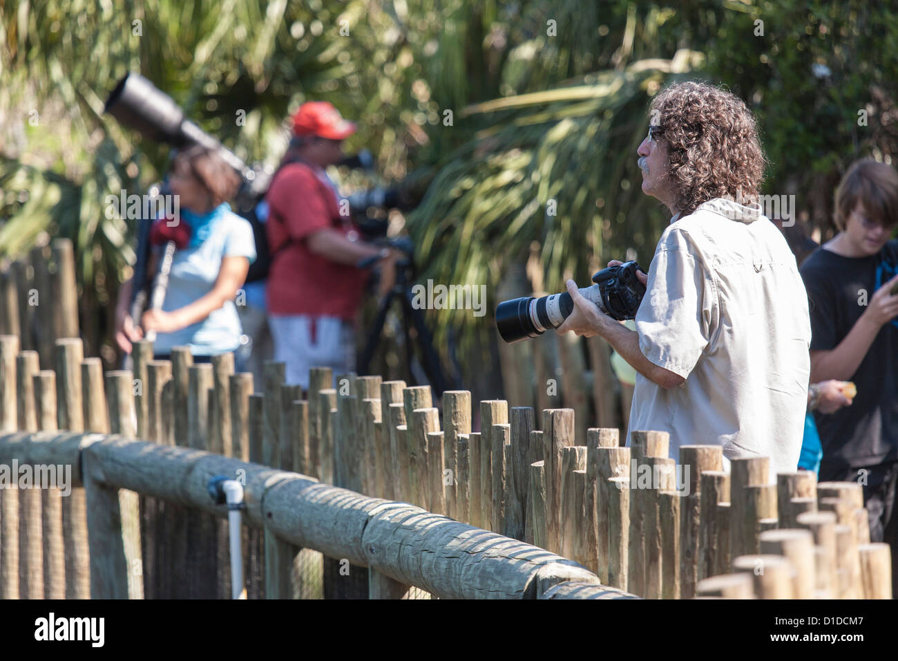 Photographers and bird watchers in the Rookery at St. Augustine ...