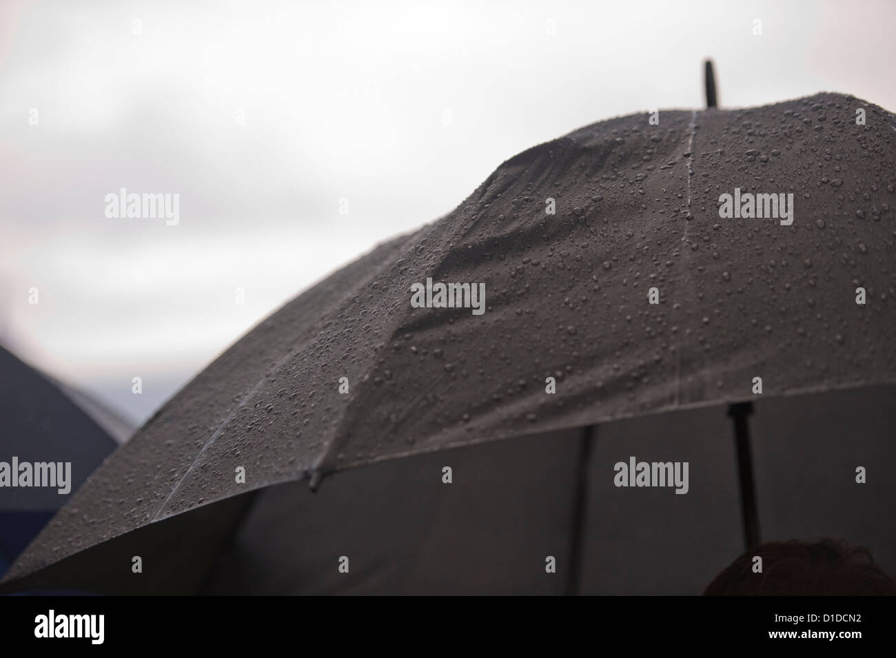 Rain shield hi-res stock photography and images - Alamy
