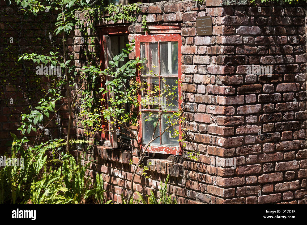 Antique windows in old brick building in historic district of St ...