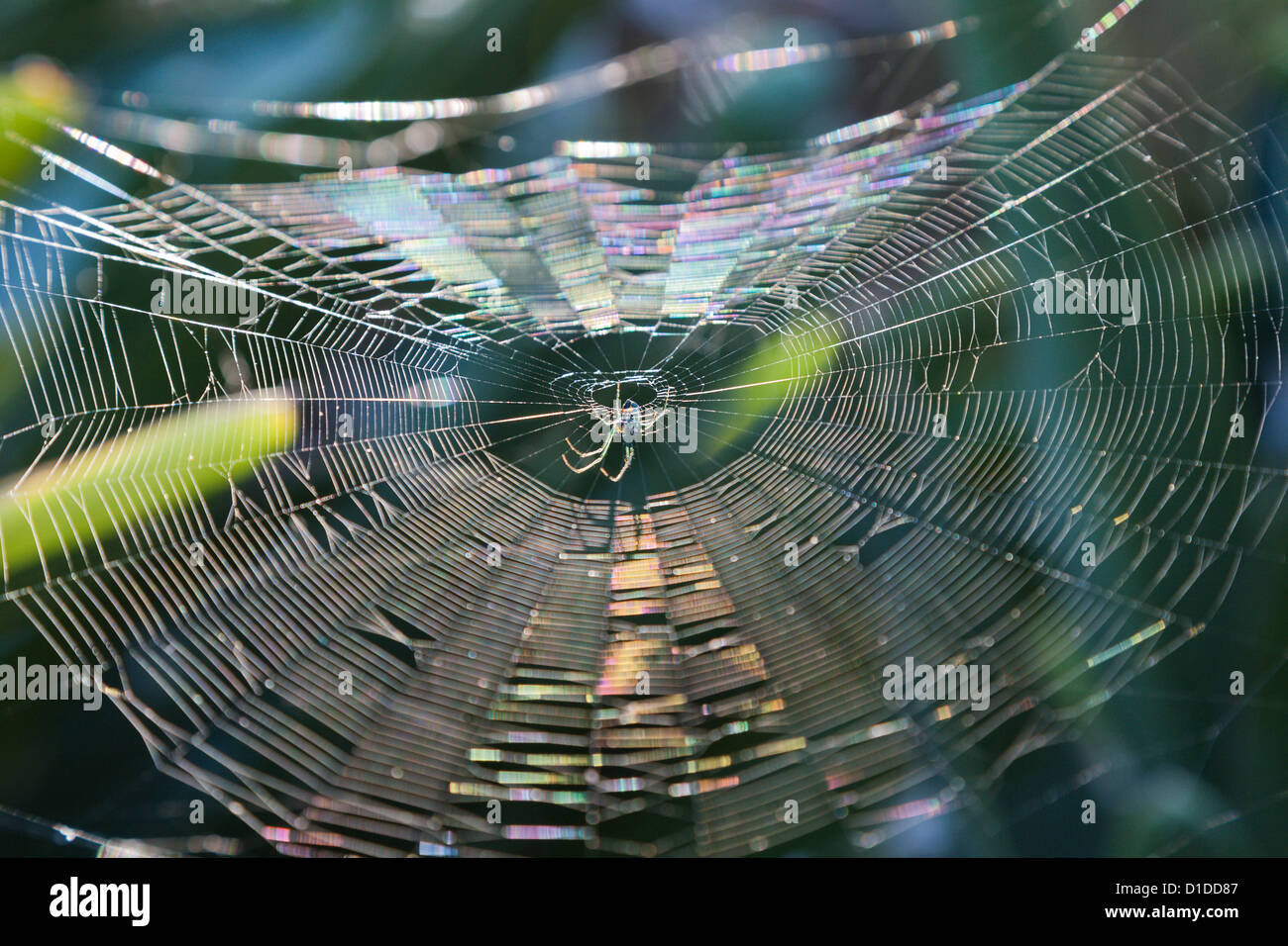 Iridescent pattern hi-res stock photography and images - Alamy