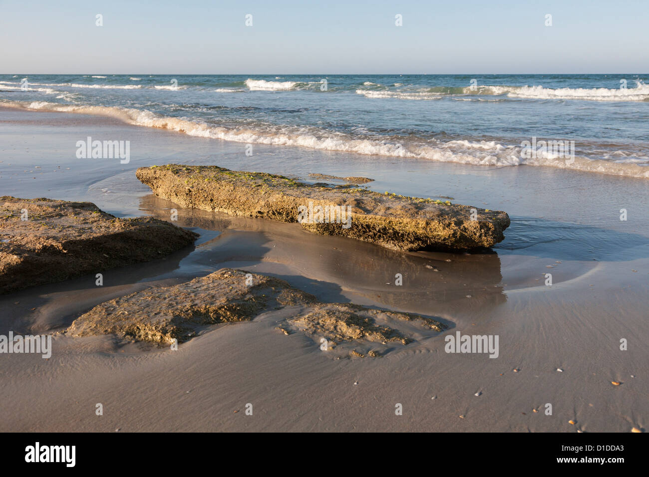 Coquina rock formations along coast of Atlantic Ocean at Washington ...