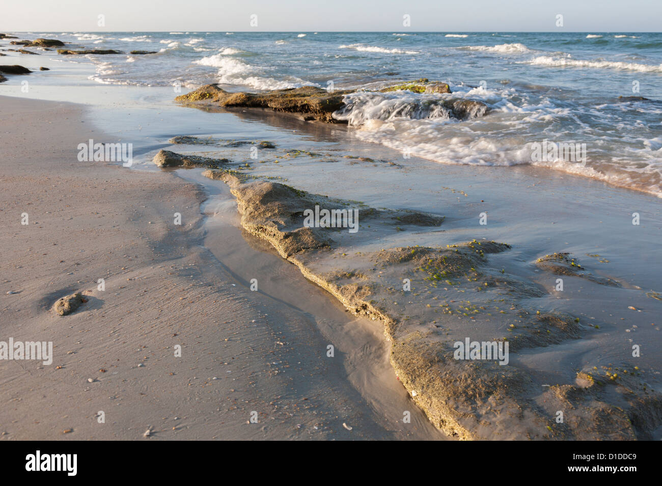 Coquina rock formations along coast of Atlantic Ocean at Washington ...