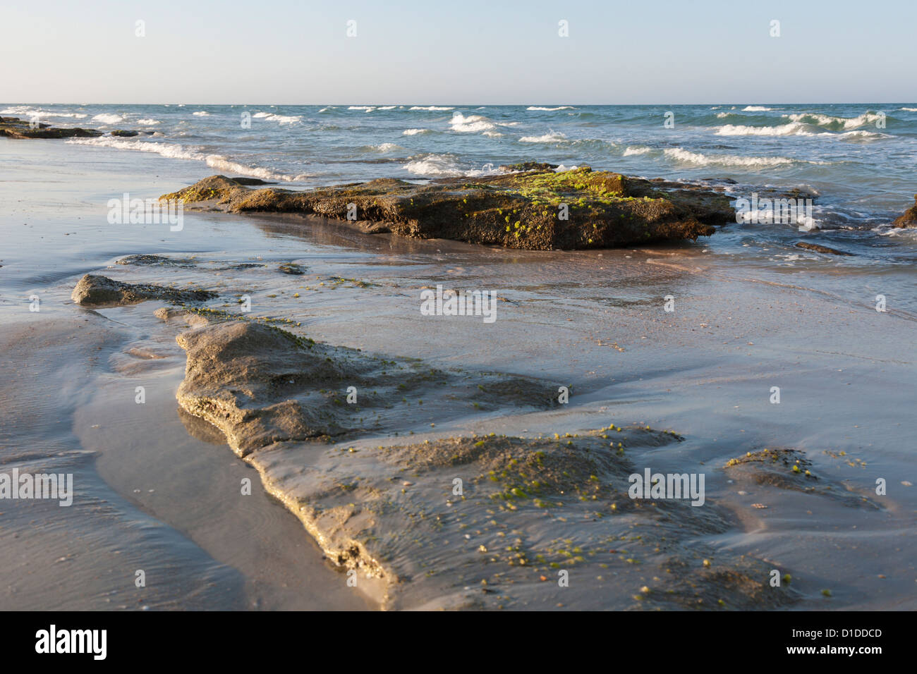 Coquina rock formations hi-res stock photography and images - Alamy