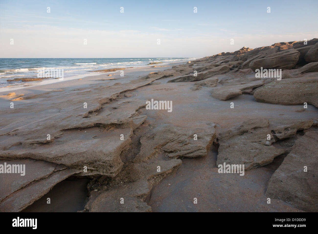 Coquina rock formations along coast of Atlantic Ocean at Washington ...