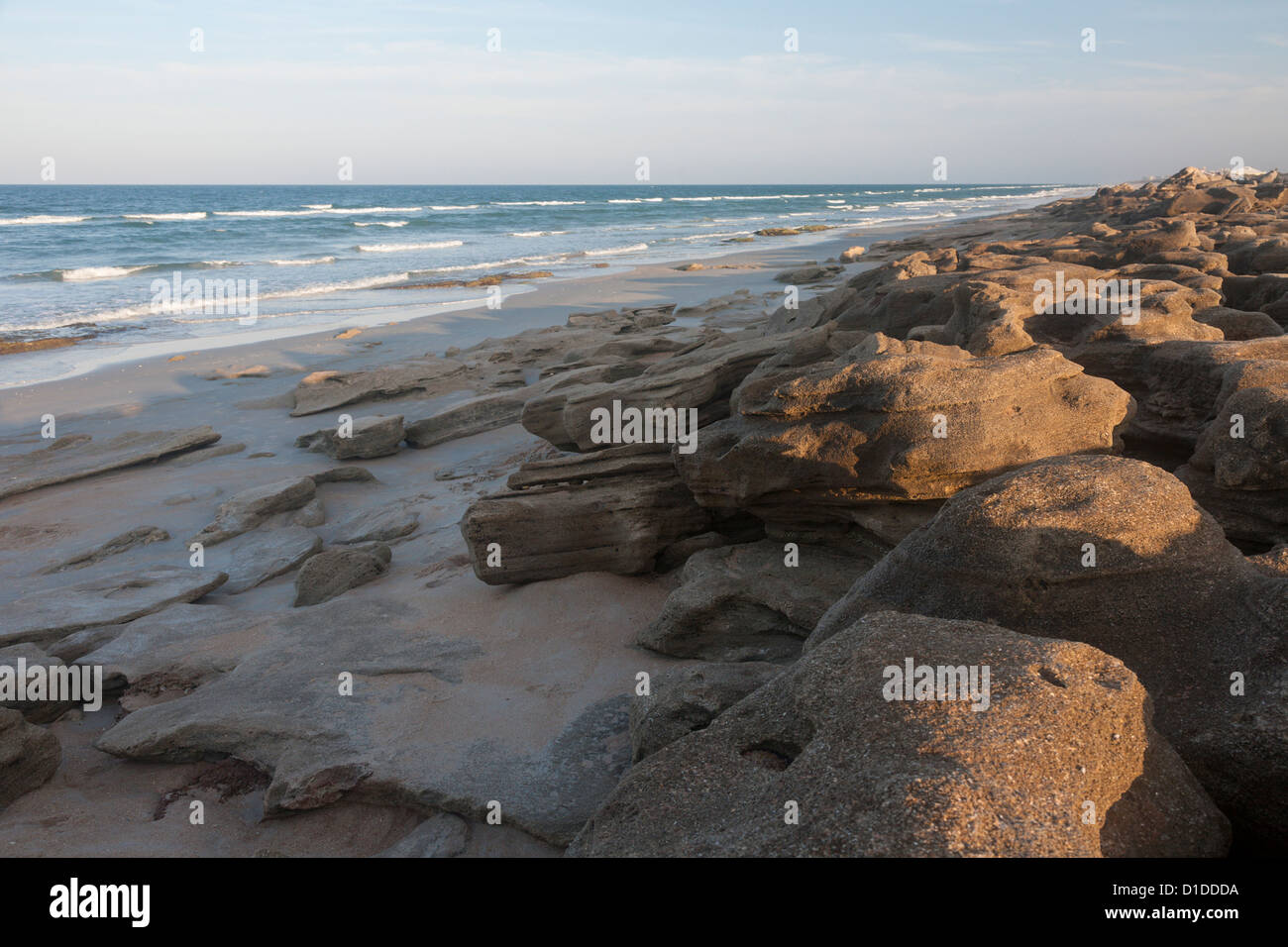 Coquina rock formations along coast of Atlantic Ocean at Washington ...