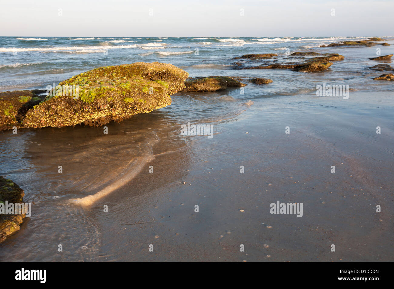 Coquina rock formations along coast of Atlantic Ocean at Washington ...