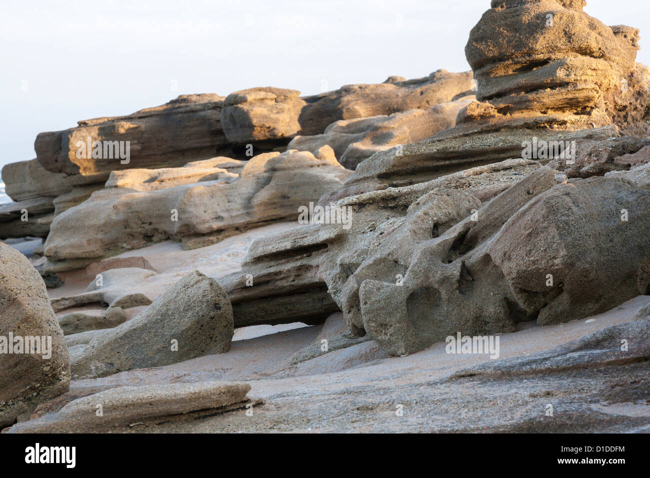 Coquina rock beach florida hi-res stock photography and images - Alamy