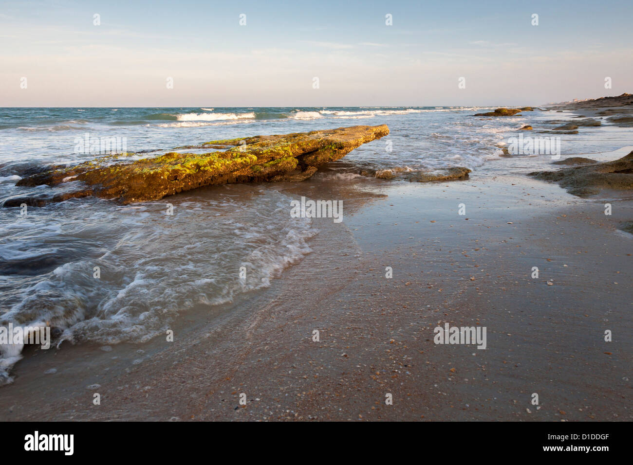 Coquina rock formations along coast of Atlantic Ocean at Washington ...