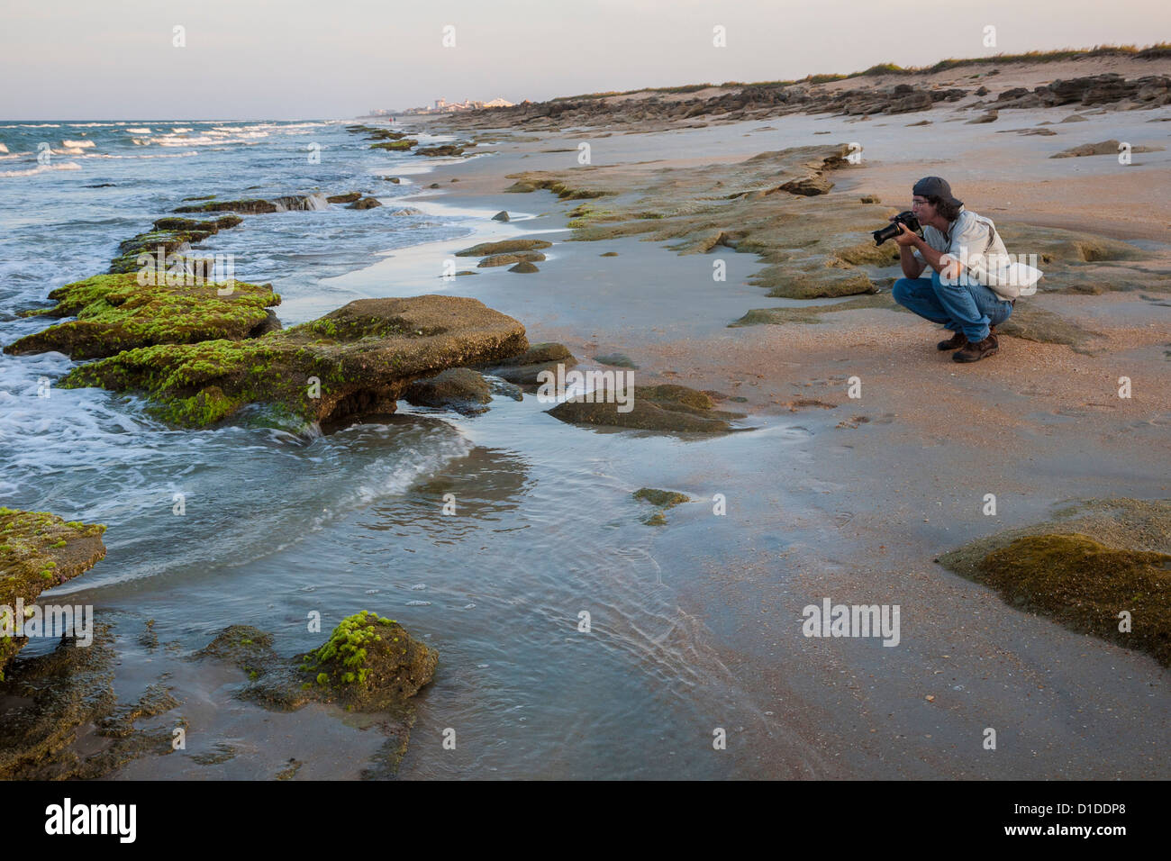 Man photographing Coquina rock formations along coast at Washington ...