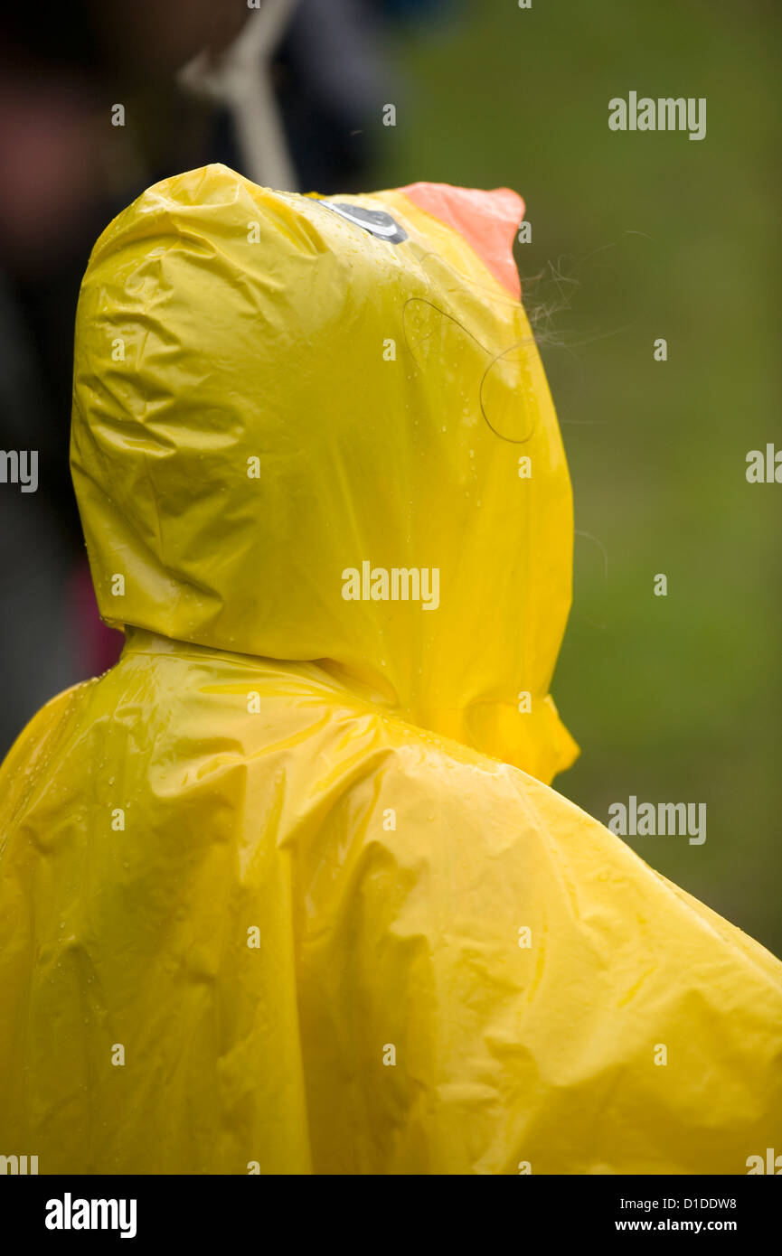 Yellow duck weather proof Stock Photo - Alamy