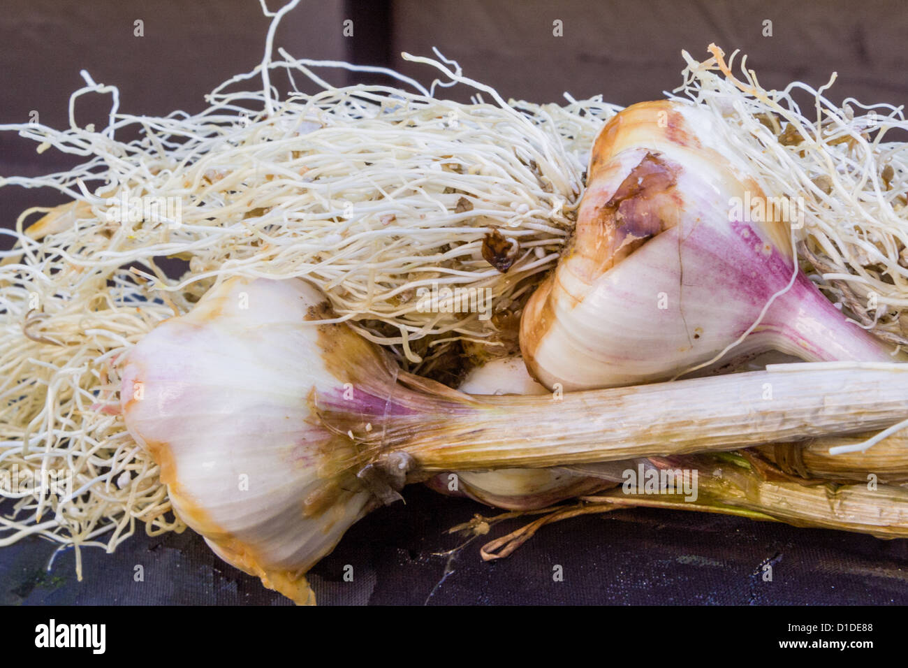 Sulfur Market High Resolution Stock Photography and Images - Alamy