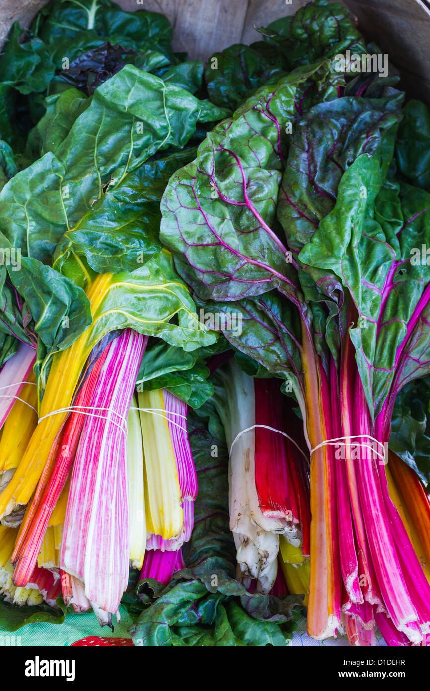 Perpetual swiss chard hi-res stock photography and images - Alamy