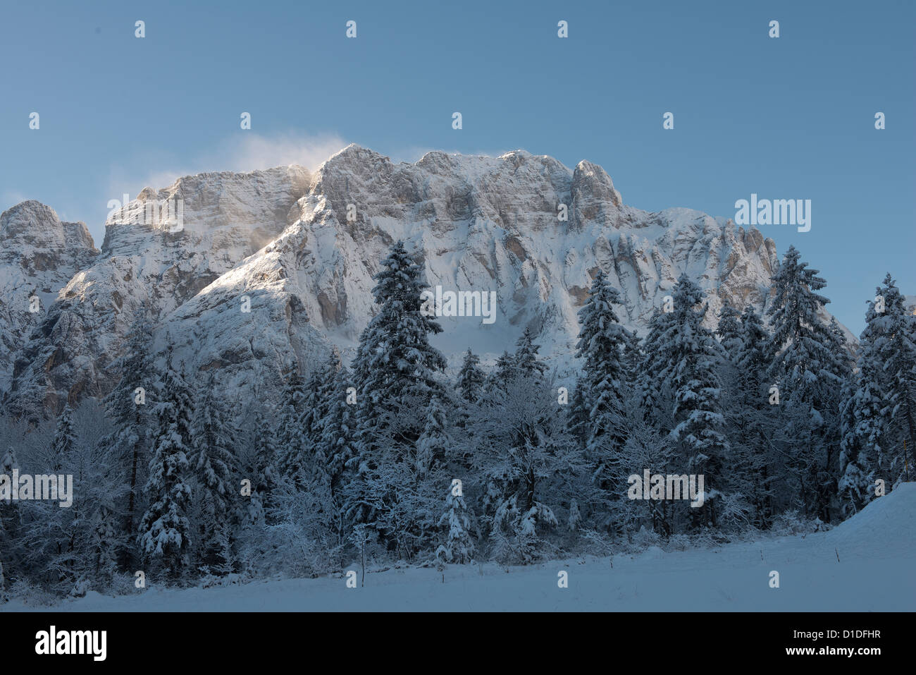 A view of the Mount Jof di Montasio in winter Stock Photo - Alamy