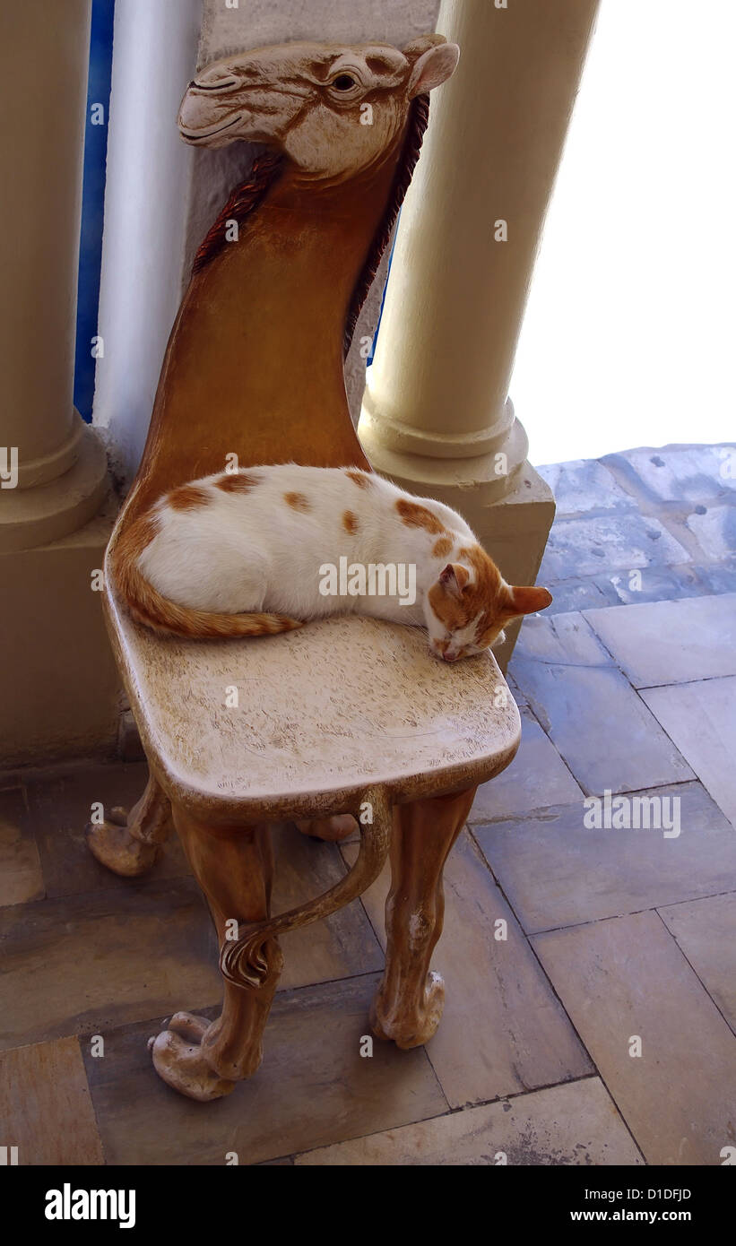 Camel sleeping hi-res stock photography and images - Alamy