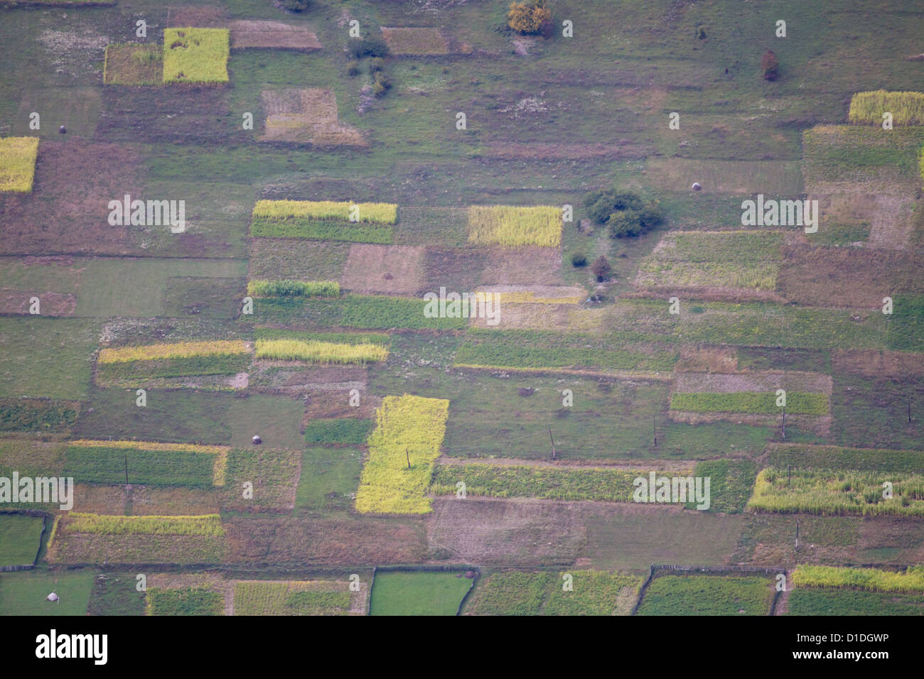 Hay fields on a slope in the Greater Caucasus seen from above Stock ...