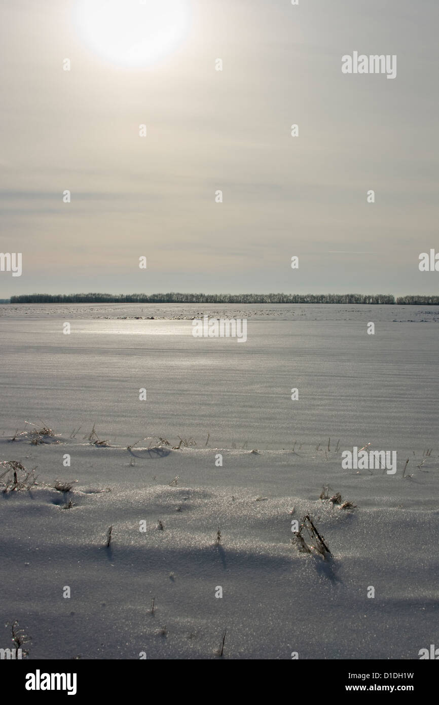 True field hi-res stock photography and images - Alamy