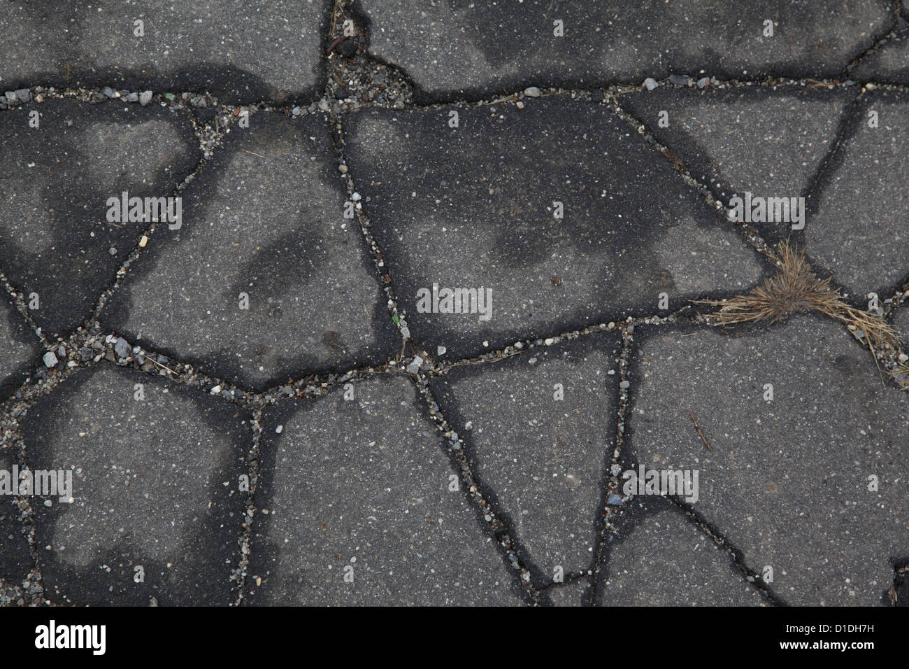 Cracked pavement makes for interesting designs on the streets and ...