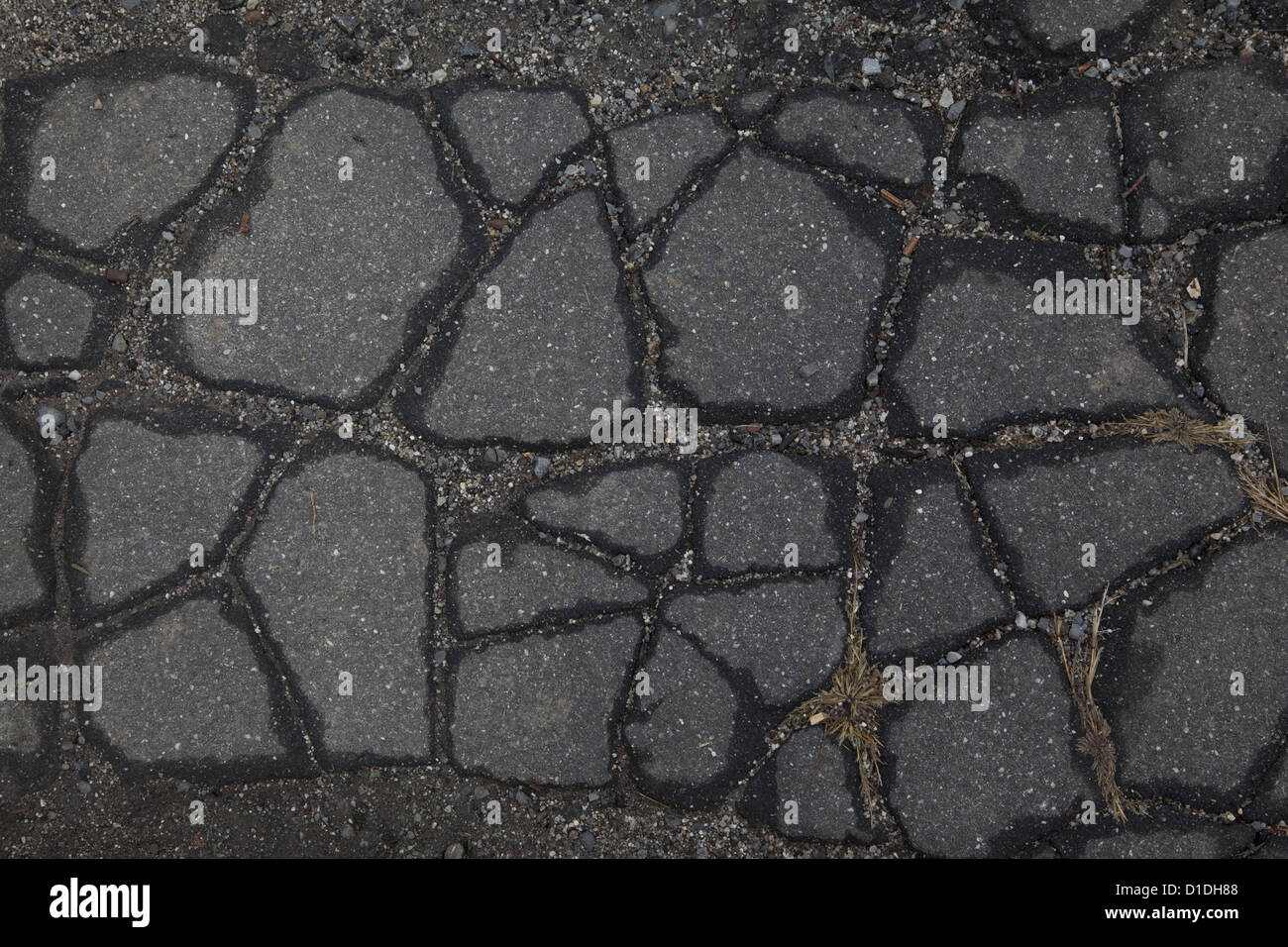 Cracked pavement makes for interesting designs on the streets and ...