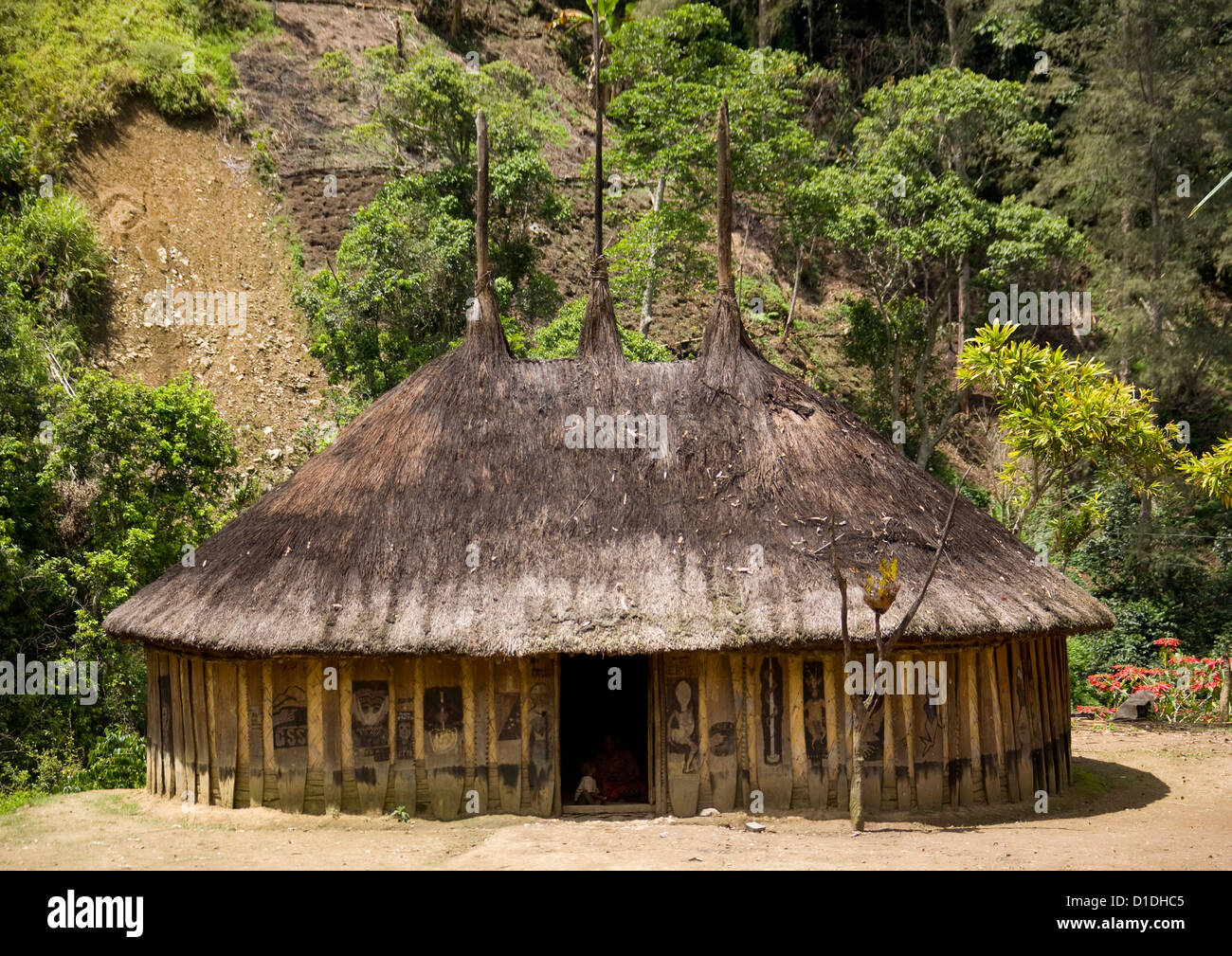 Mount Hagen sing sing festival, Highlands, Papua New Guinea Stock Photo ...