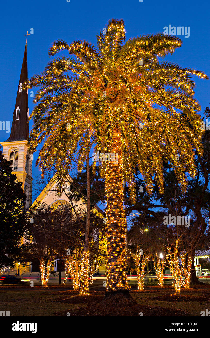 Palm tree covered in fairy lights for Christmas in historic Marion ...