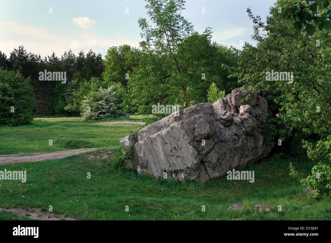 Concrete ruins of Adolf Hitler's residence Werwolf near Vinnitsya ...