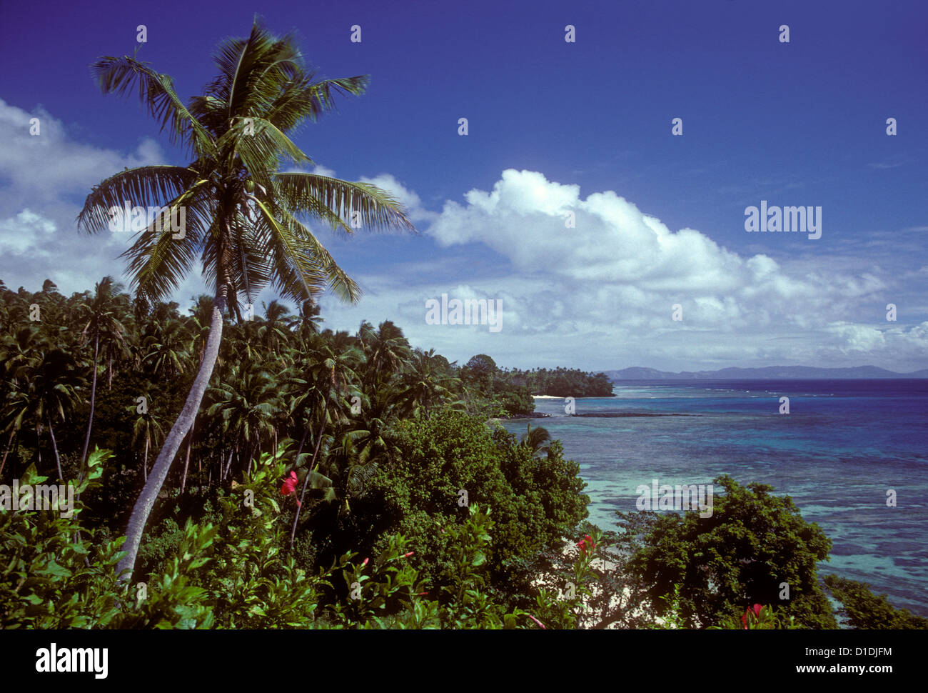 Taveuni Island Resort High Resolution Stock Photography and Images - Alamy