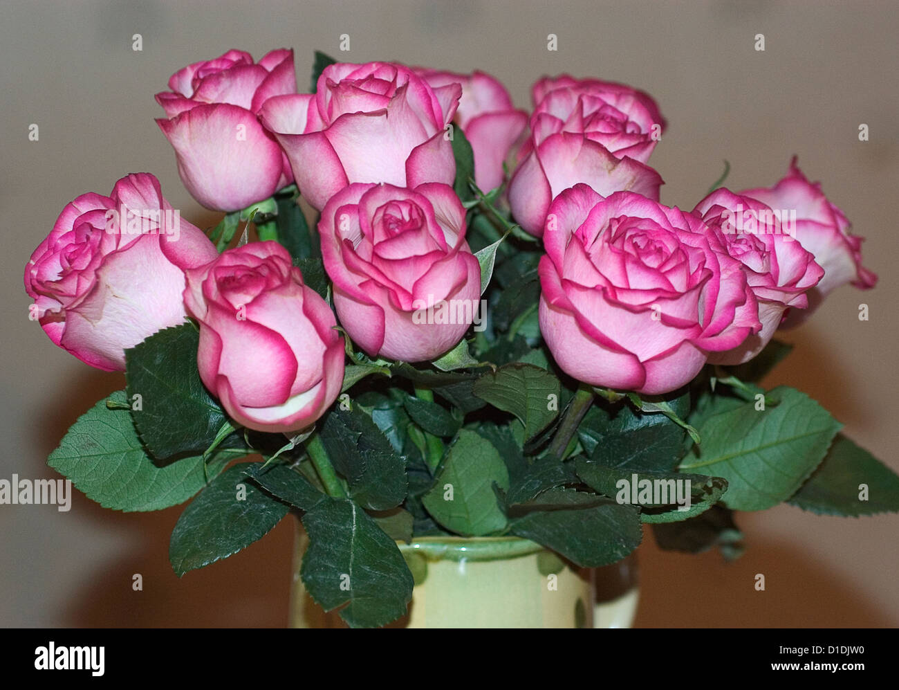 pink roses in vase Stock Photo - Alamy