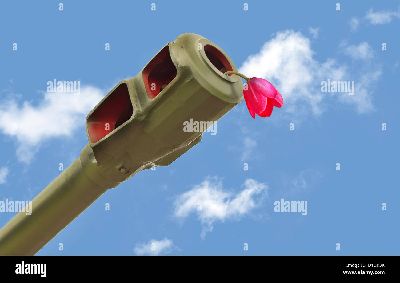 Flower hanging from the barrel of the gun against the blue sky Stock ...