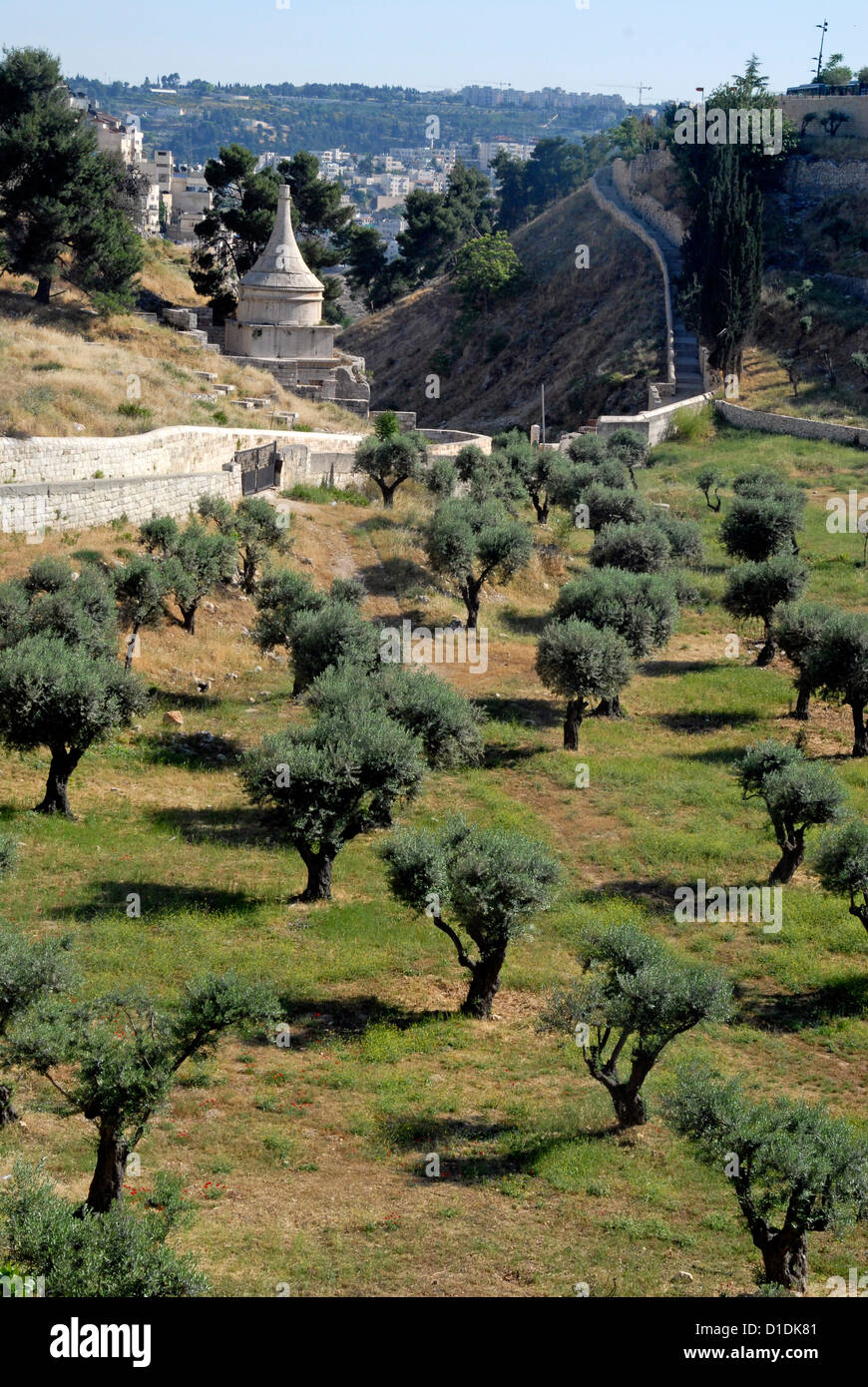 Jerusalem israel trees hi-res stock photography and images - Alamy