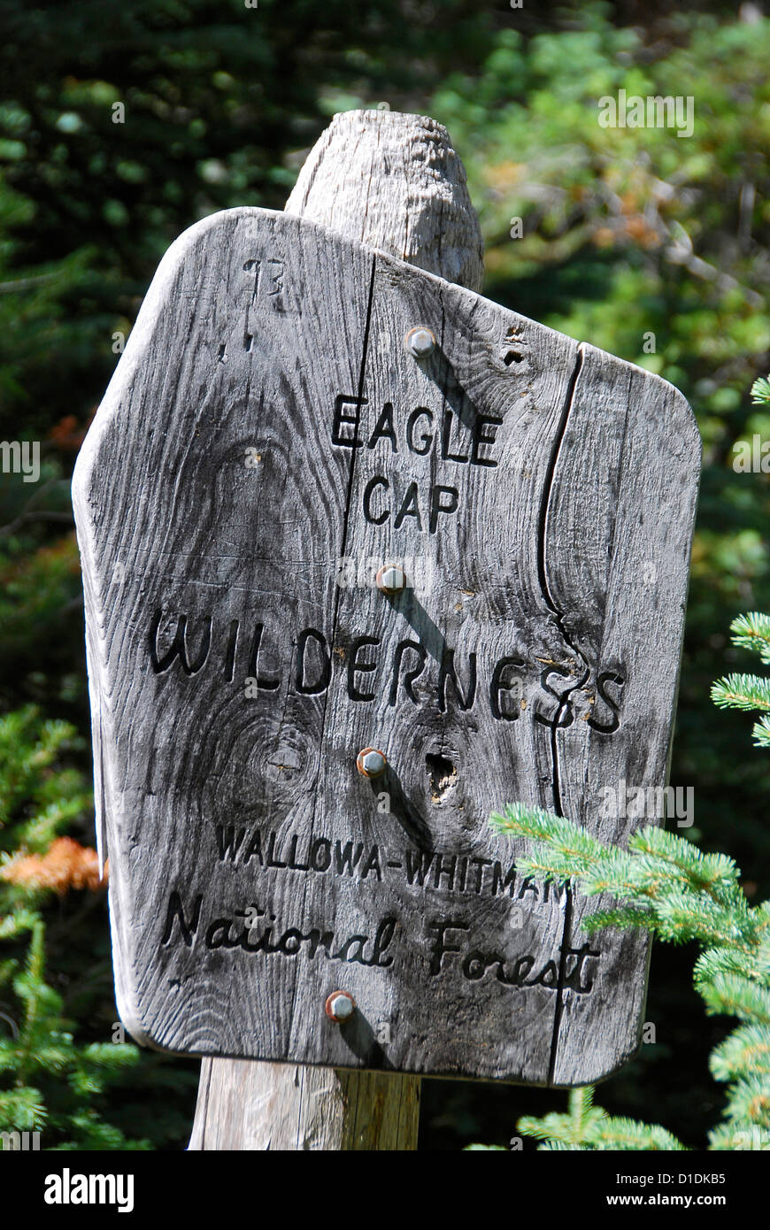 Eagle Cap Wilderness boundary sign along a trail in the Wallowa ...