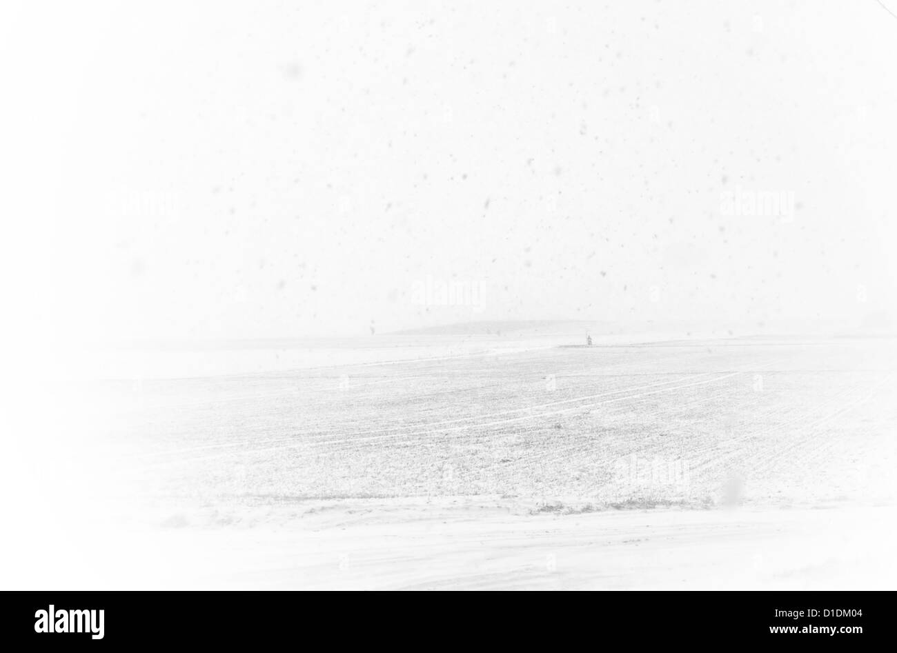 It is snowing Stock Photo - Alamy