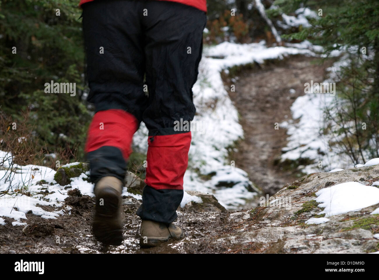 Hiking on a muddy trail in the Wallowa Mountains, Oregon Stock Photo ...