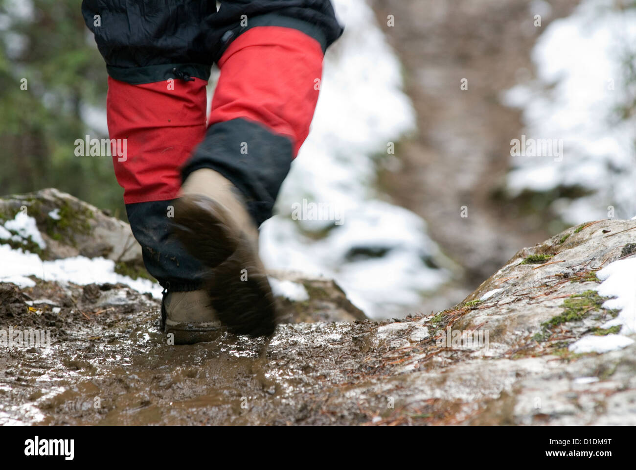 Hiking on a muddy trail in the Wallowa Mountains, Oregon Stock Photo ...