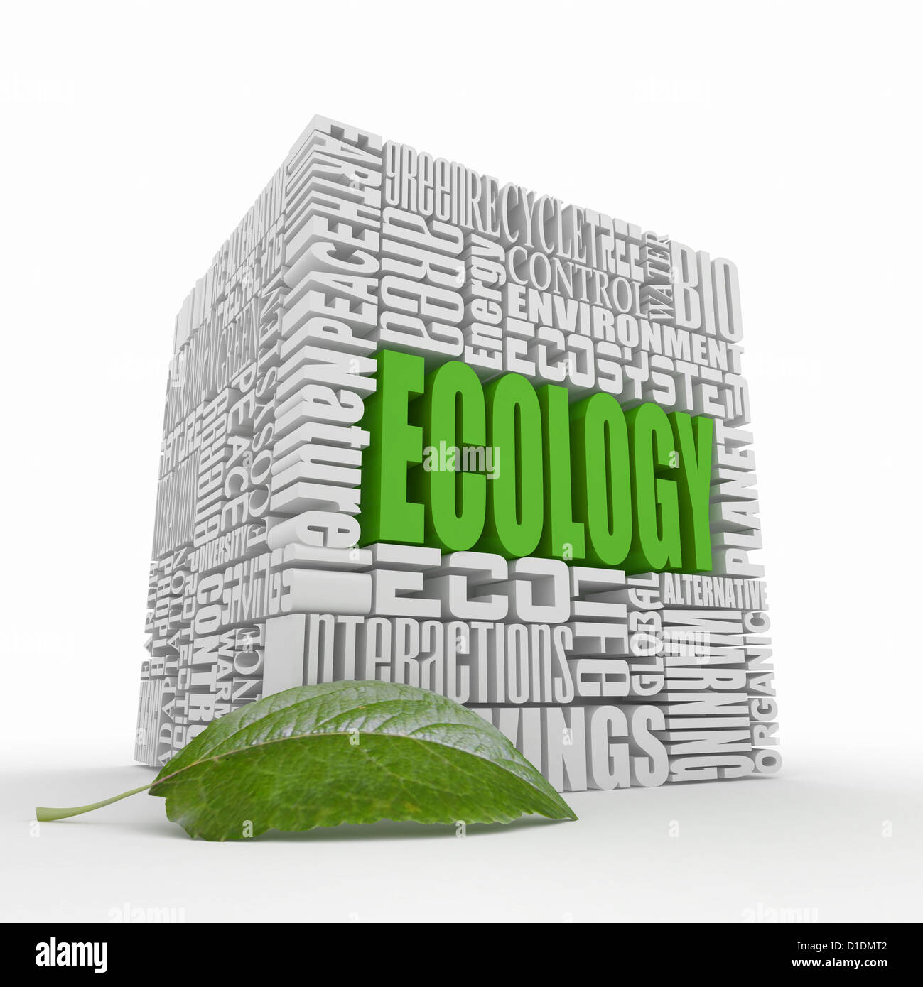 What is a Ecology. The concept of the words on white isolated ...