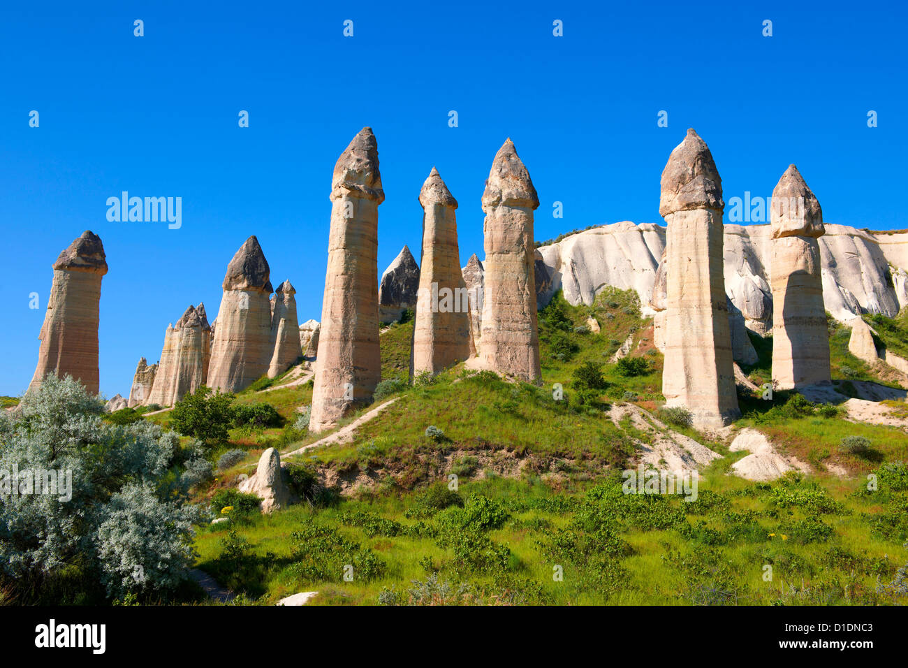 The Fairy Chimneys of Love Valley - Cappadocia Turkey Stock Photo - Alamy