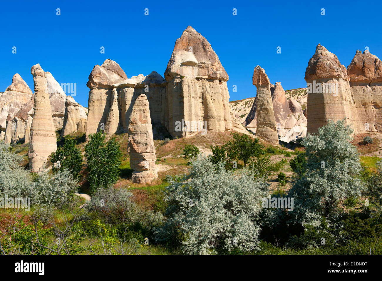 The Fairy Chimneys of Love Valley - Cappadocia Turkey Stock Photo - Alamy
