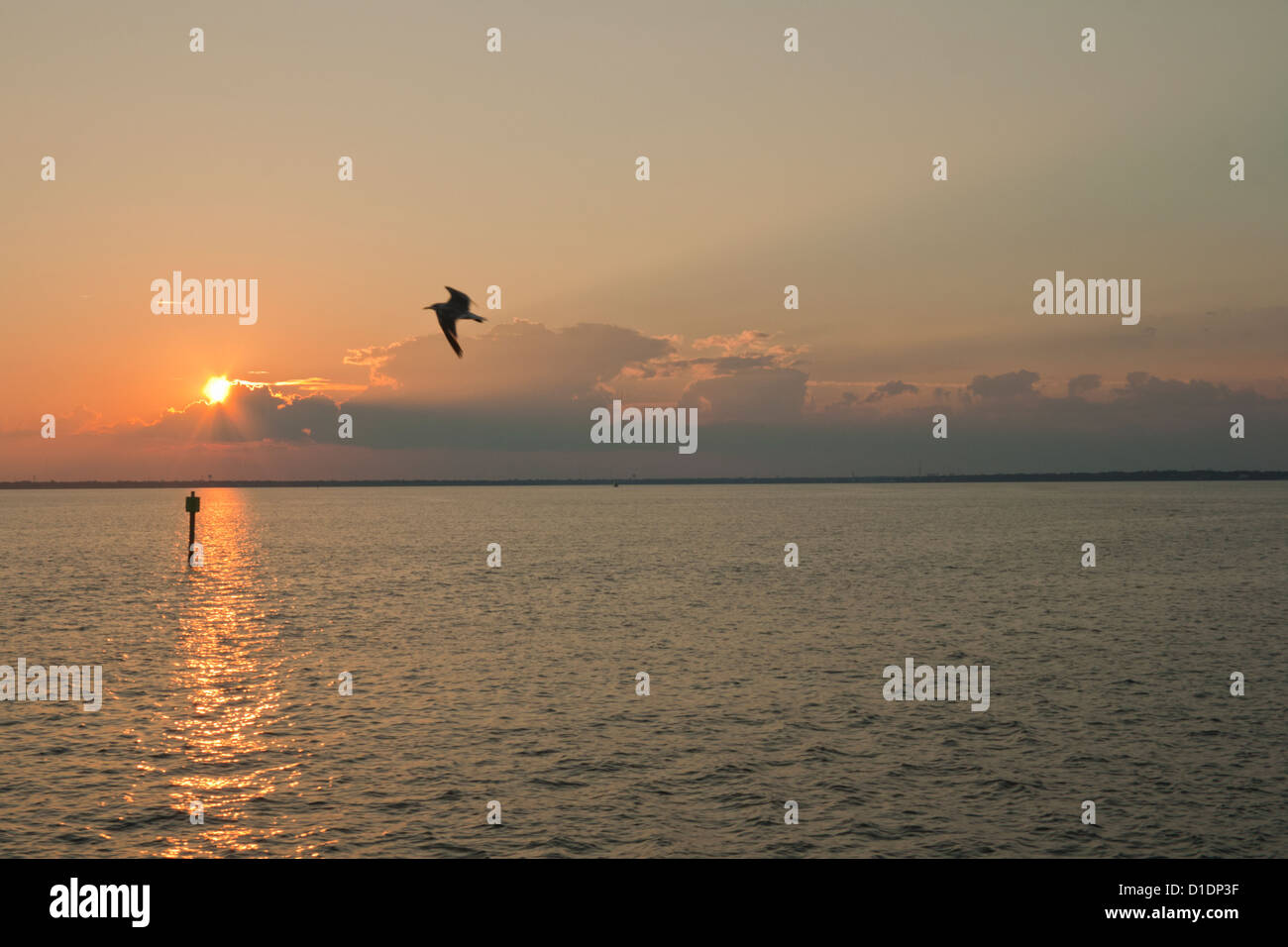 Destin harbor hi-res stock photography and images - Alamy