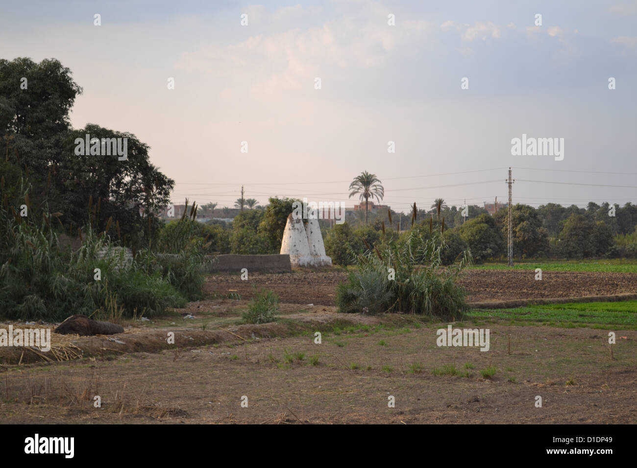 Nile delta egypt hi-res stock photography and images - Alamy