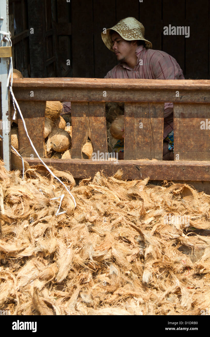 Coconut Seller on a Market in Phnom Penh, Cambodia Stock Photo - Alamy