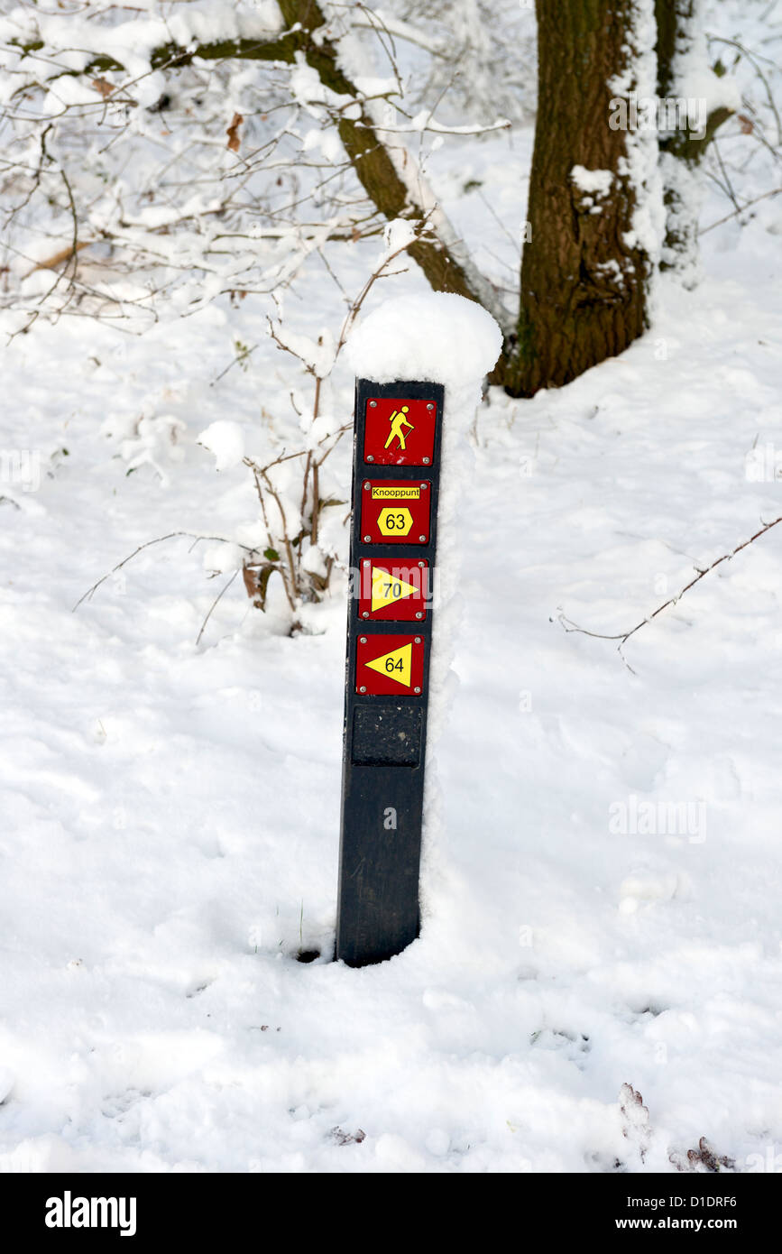 walking signs in forest Stock Photo - Alamy