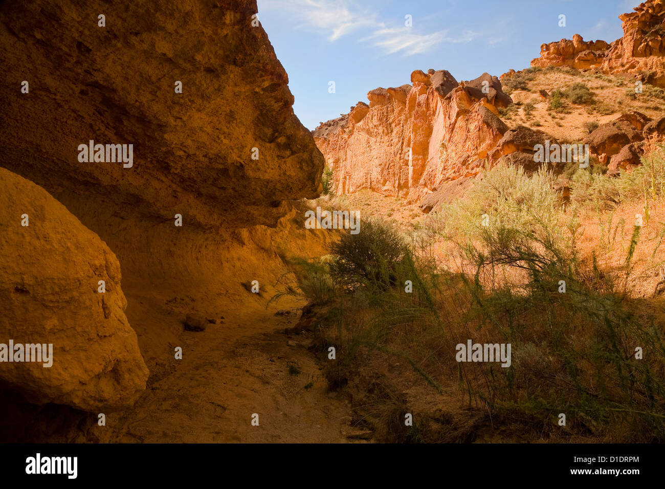 Juniper trail hi-res stock photography and images - Alamy