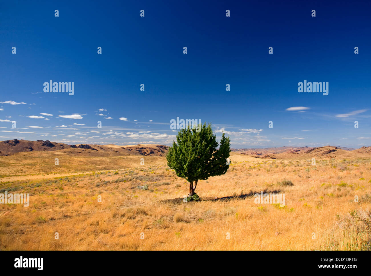 Succor oregon hi-res stock photography and images - Alamy
