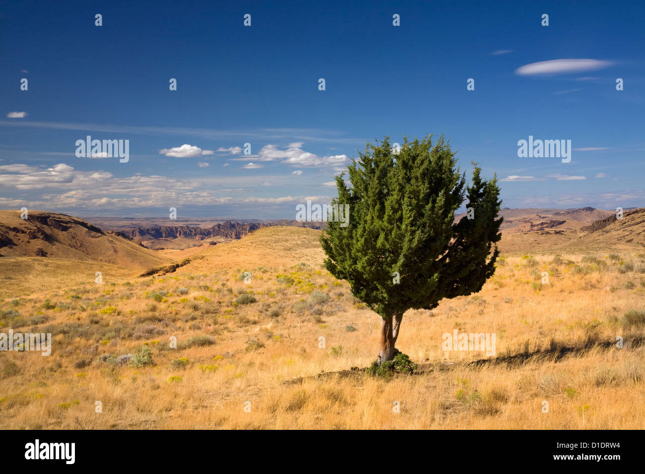 Succor oregon hi-res stock photography and images - Alamy