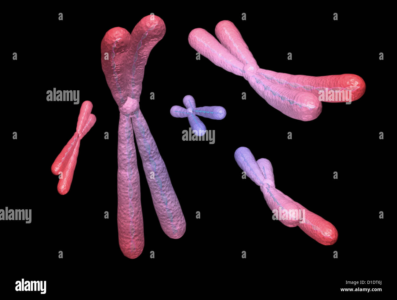 illustration of human chromosome Stock Photo - Alamy