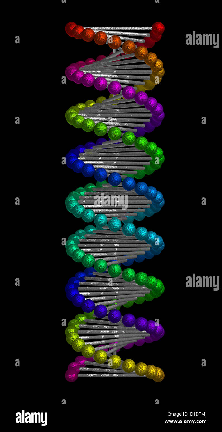 DNA double helix Stock Photo - Alamy