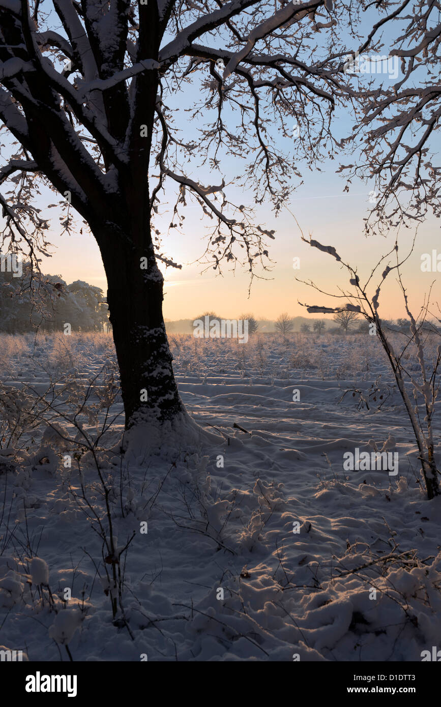Rolling countryside sunset hi-res stock photography and images - Alamy